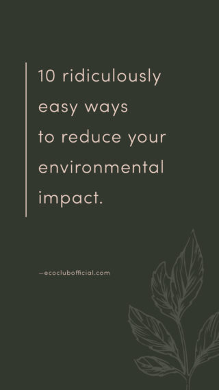 Easy Ways to Reduce Your Impact | How to Reduce Your Impact