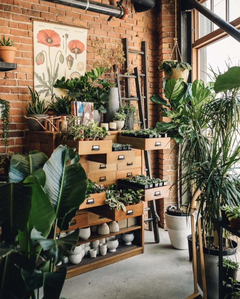 Shop Small Seattle | Seattle Boutiques via eco club
