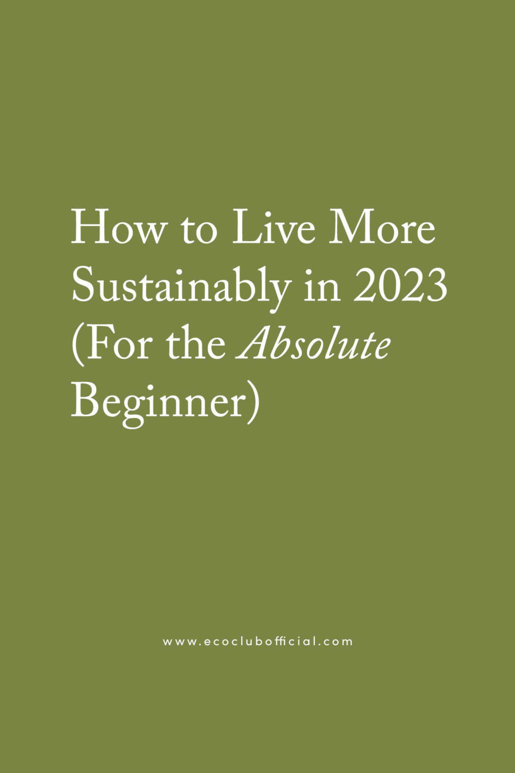 How to Live More Sustainably - Beginner's Guide to Green Living